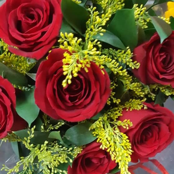 Floricultura Volta Redonda RJ: entrega de flores online | Isabela Flores