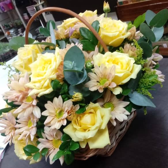 Floricultura Volta Redonda RJ: entrega de flores online | Isabela Flores