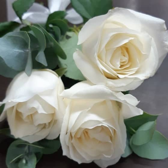 Floricultura Volta Redonda RJ: entrega de flores online | Isabela Flores