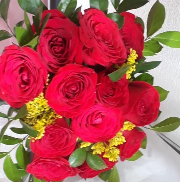 Floricultura Barretos SP: flores e presentes em Barretos | Isabela Flores