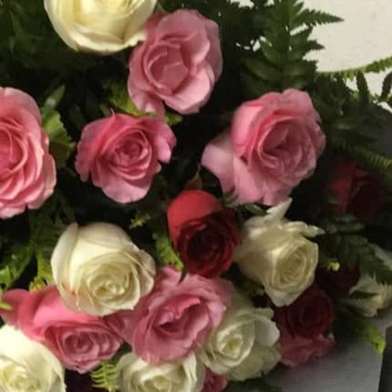 Floricultura Volta Redonda RJ: entrega de flores online | Isabela Flores