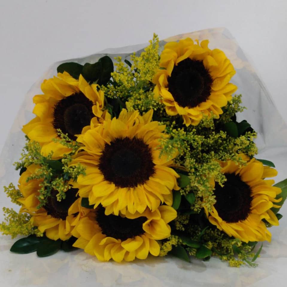 Floricultura Serra: Comprar Flores Online, Buquês e Cestas | Isabela Flores