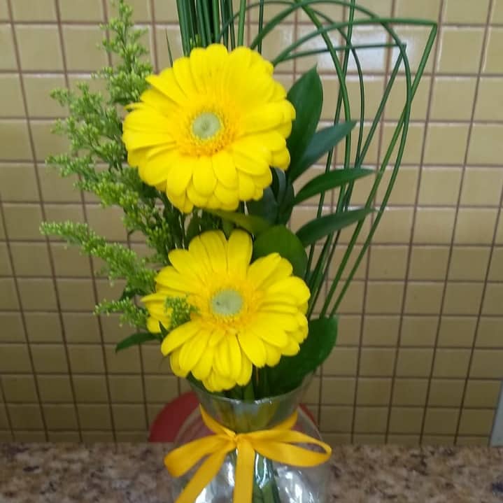 Floricultura RJ: Flores online para o Rio de Janeiro | Isabela Flores