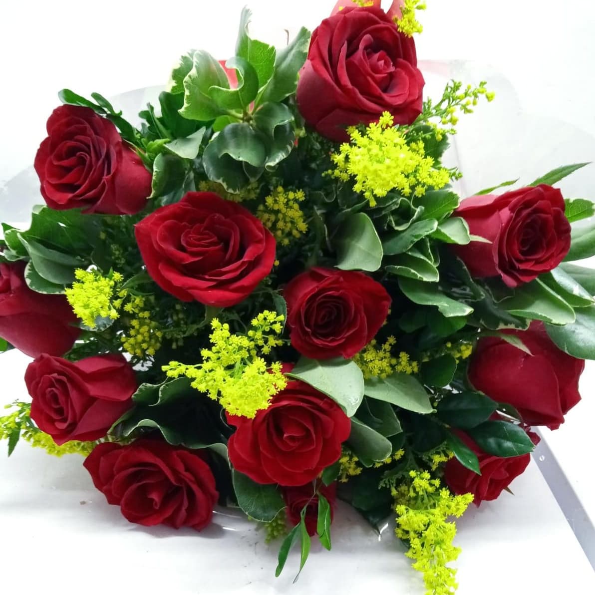 Flor Cravo: branco, vermelho e mais | Isabela Flores