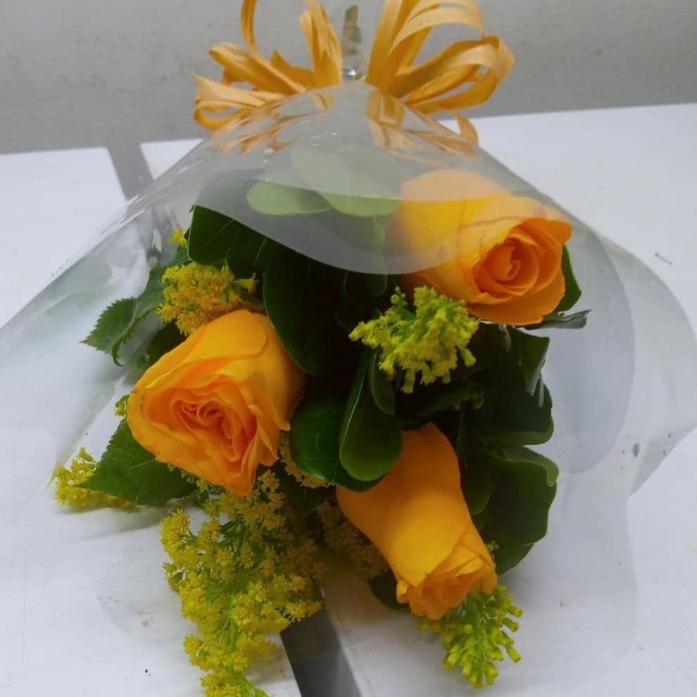 Flor Cravo: branco, vermelho e mais | Isabela Flores